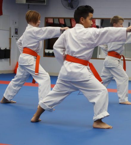 Home - Colorado Karate Club